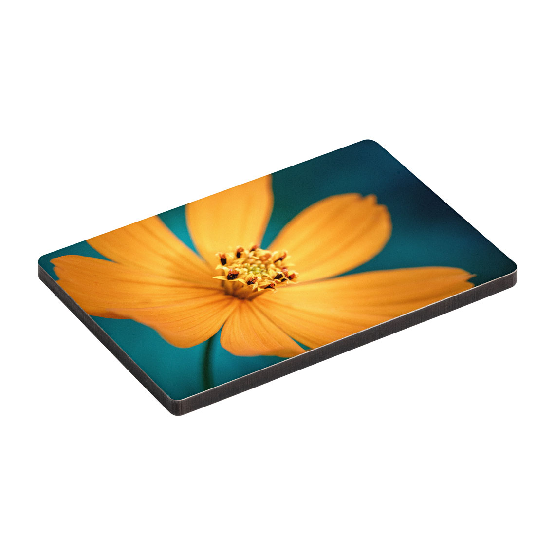 Photo Magnets | Custom Fridge Magnet | Snapfish AU