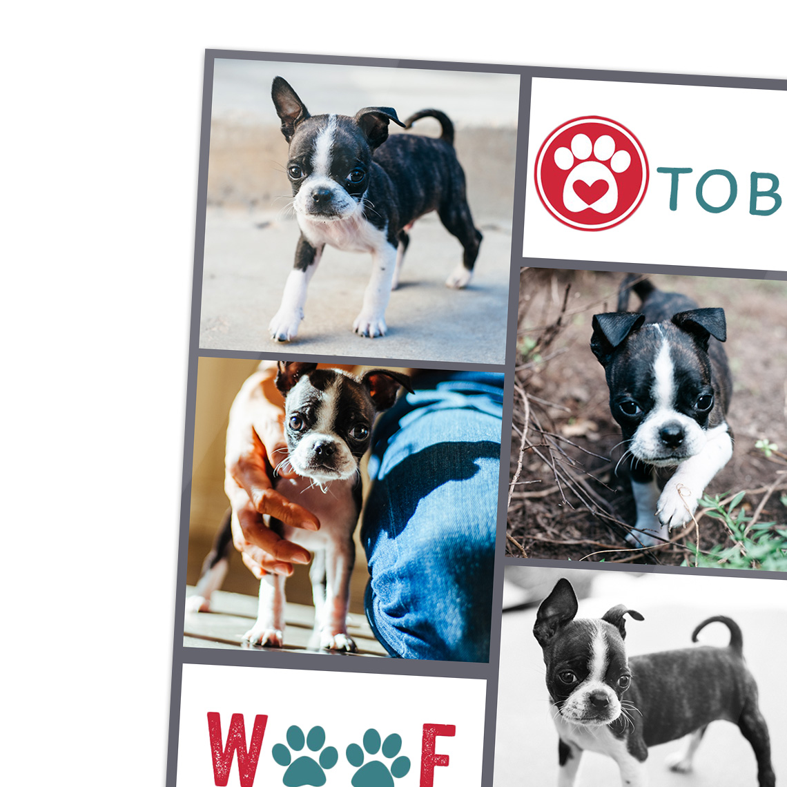 Collage Photo Prints | Collage Prints 12x8" | Snapfish UK