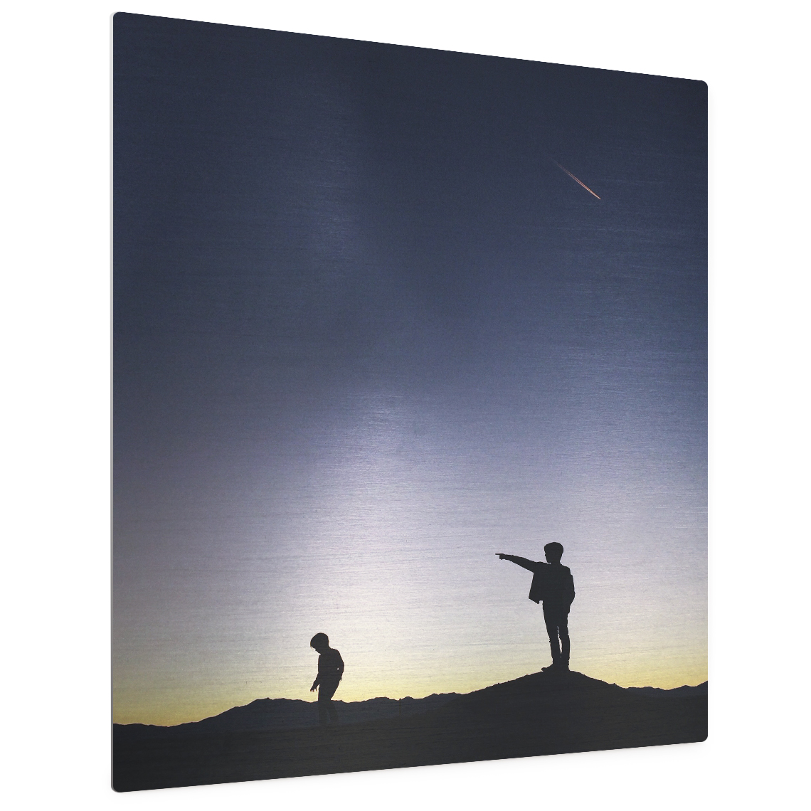 11x14 Metal Photo Panels | Heavy Frames | Snapfish