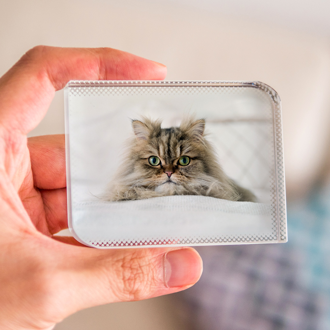 Glass Photo Blocks | Acrylic Photo Blocks | Snapfish UK