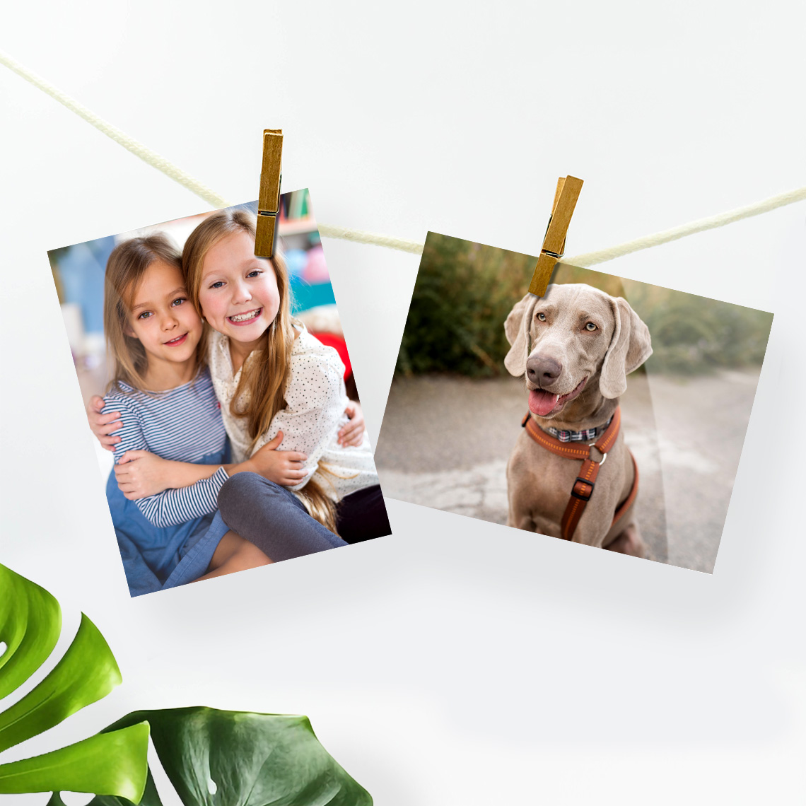 13x10cm Photo Prints: Print Your Digital Photos Online | Snapfish IE